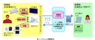 Wii Fit (series) - MiiWiki